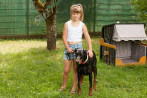 Jason mit Video – unser aller Liebling im Tierhilfe Franken-Haus ...