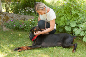 Jason – Tierhilfe Franken e.V.